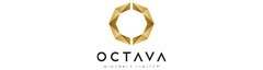 Octava Minerals Limited (ASX:OCT) Share Price, News & Information ...